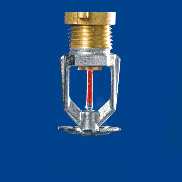 fire sprinkler system 18 - gif animation – Alpha Fire Suppression Systems